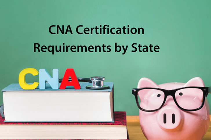 Tips for Choosing Best Online CNA Programs - Swipit