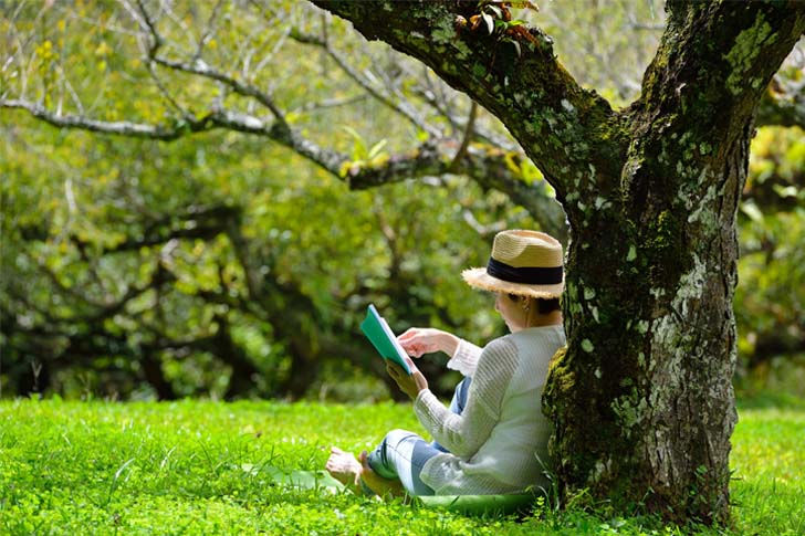 Vote for your preferred place to read - Swipit